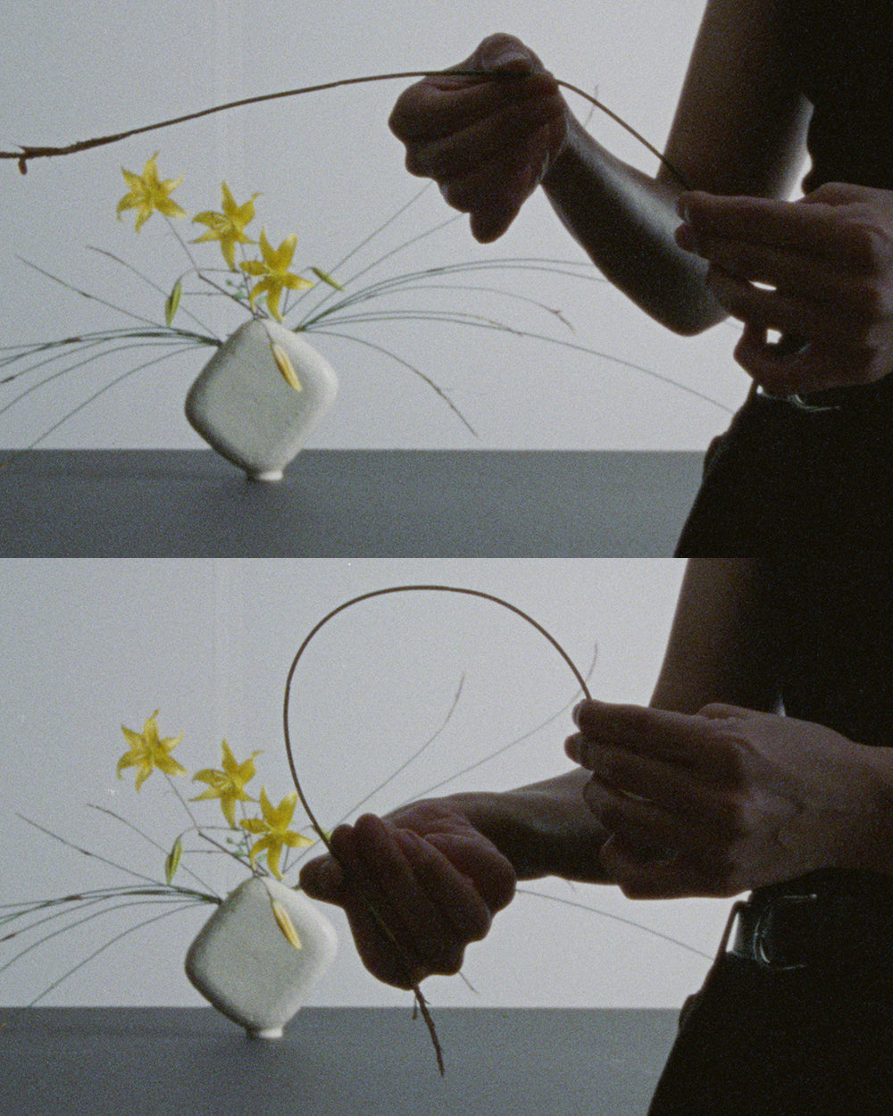 WHISPERS OF FORM – Display Copy